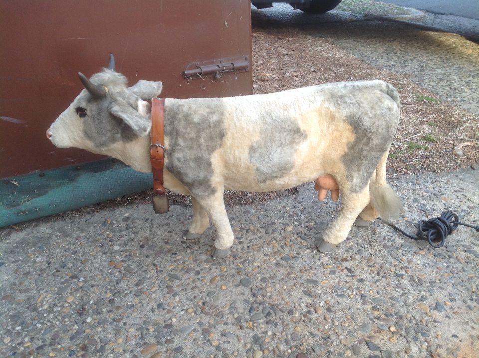 Vintage Animated Cow Automaton Store Window Display « Obnoxious Antiques