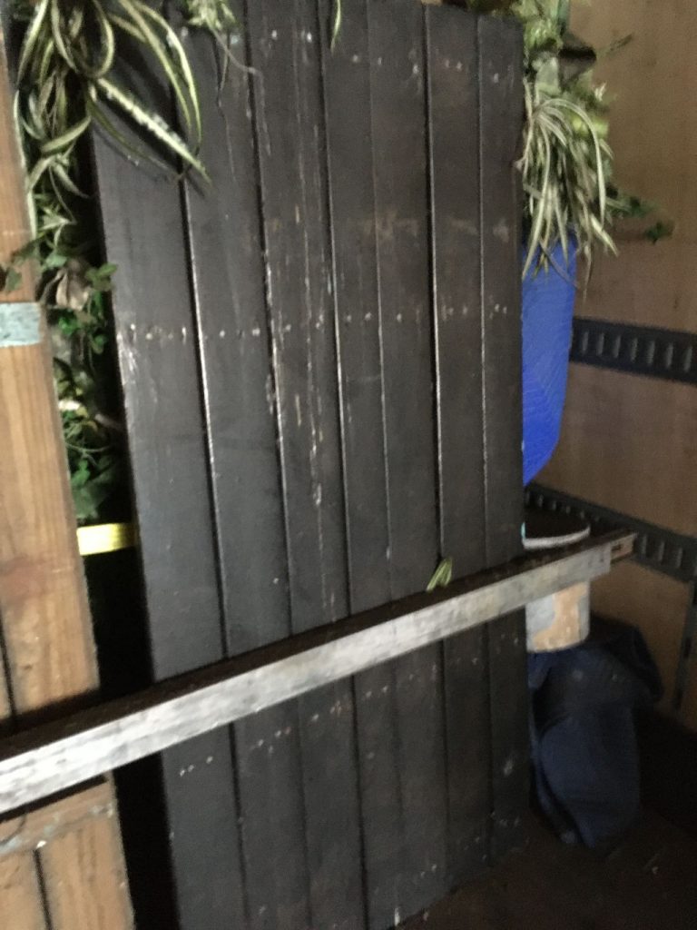 Vintage Coney Island Astroland Dante’s Inferno Dark Ride Funhouse ...