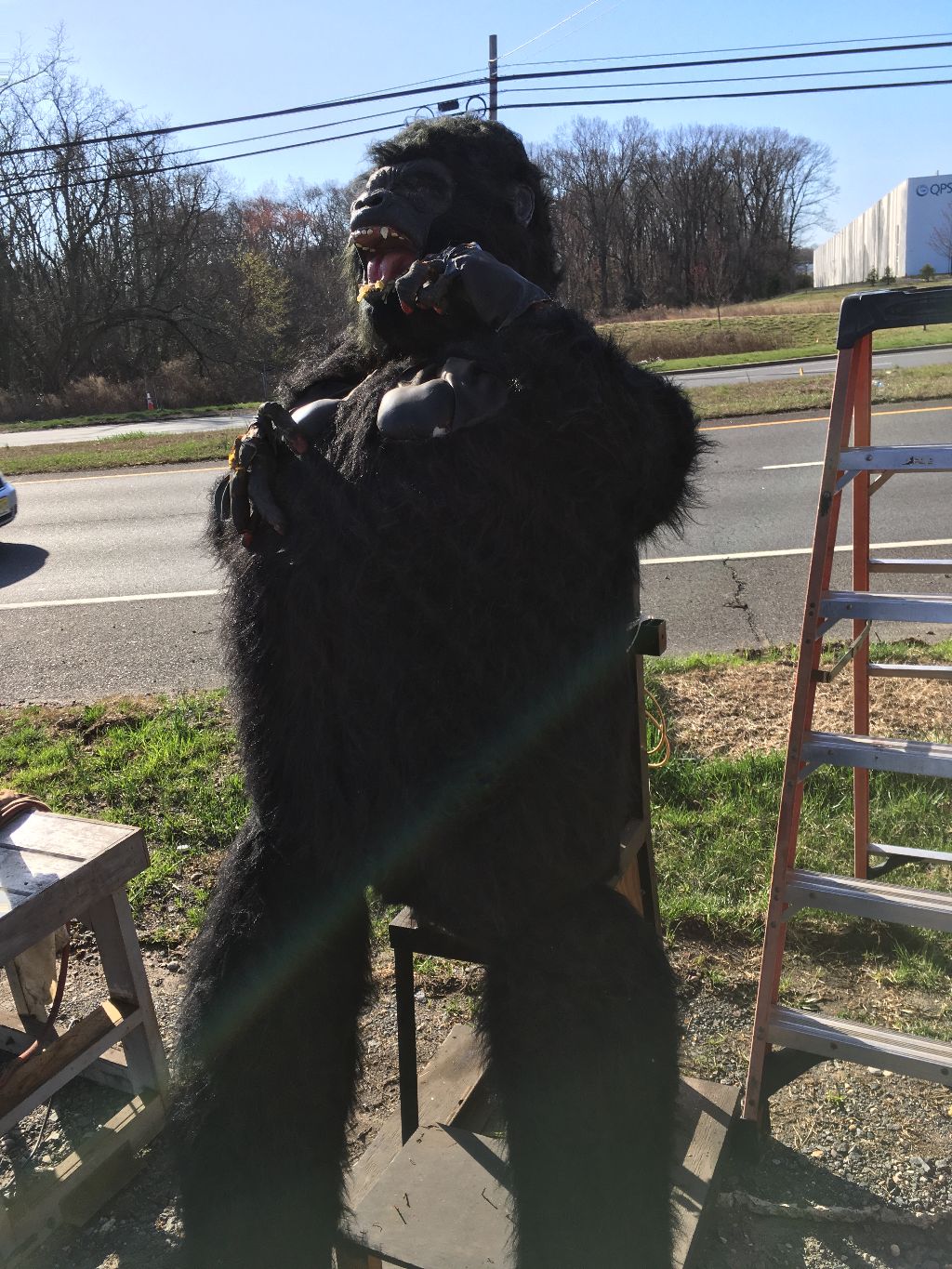 Vintage Coney Island Astroland Dante’s Inferno Dark Ride Funhouse ...