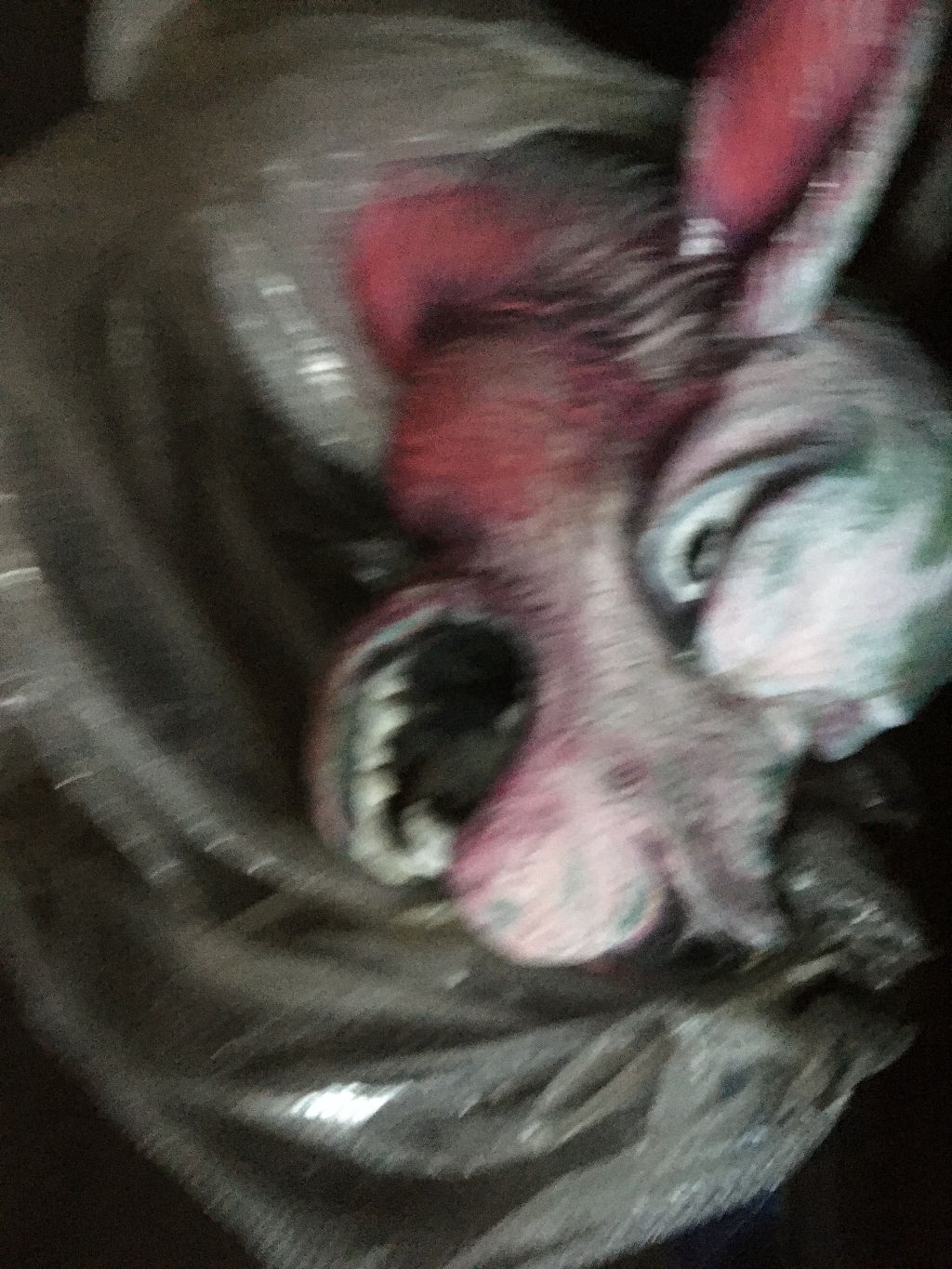 Vintage Coney Island Astroland Dante’s Inferno Dark Ride Funhouse ...